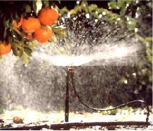 Microaspersion y goteo | Aguamarket